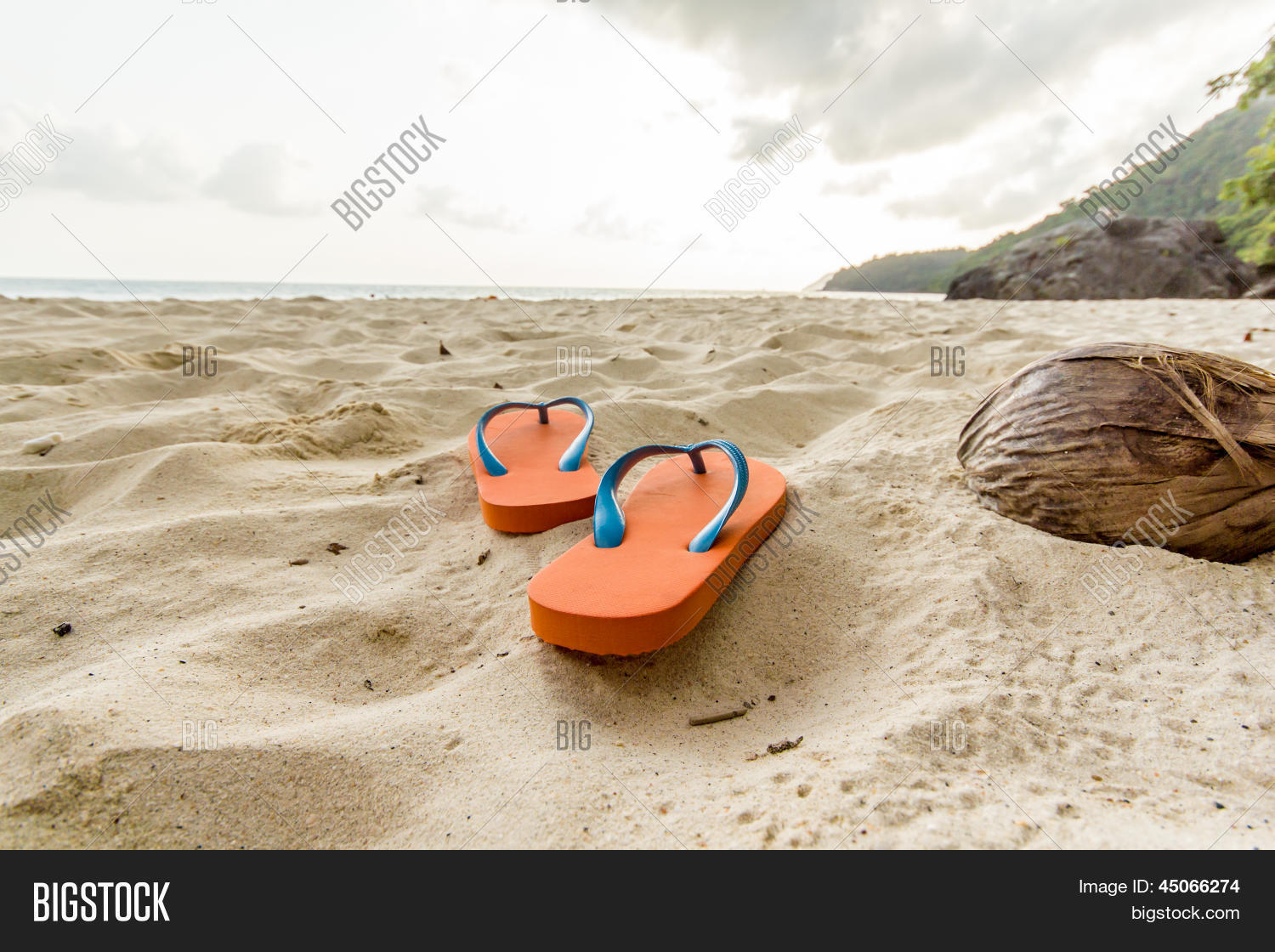 Flip-flop On Beach Image & Photo (Free Trial) | Bigstock