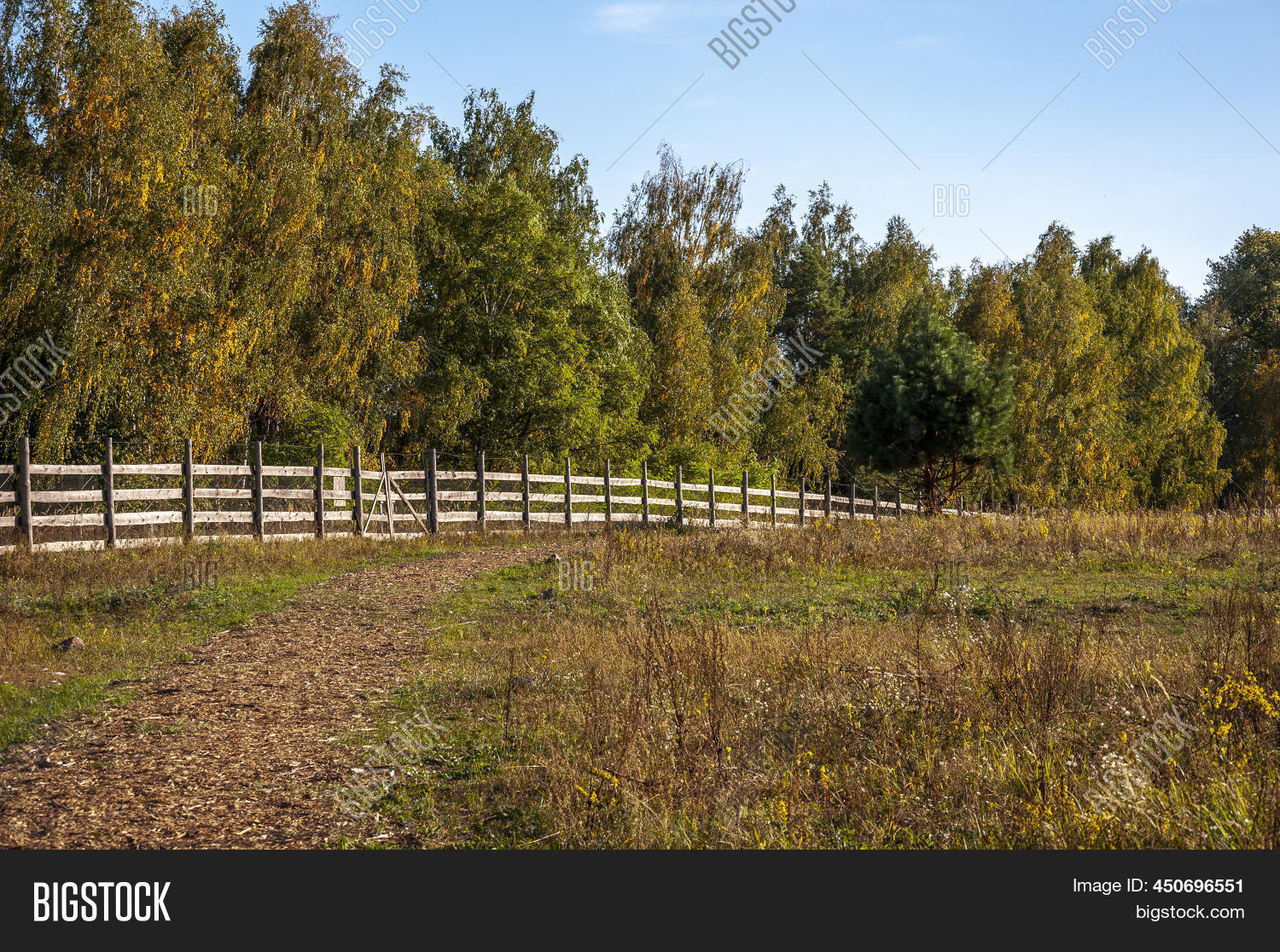 Corral Animals Green Image & Photo (Free Trial) | Bigstock