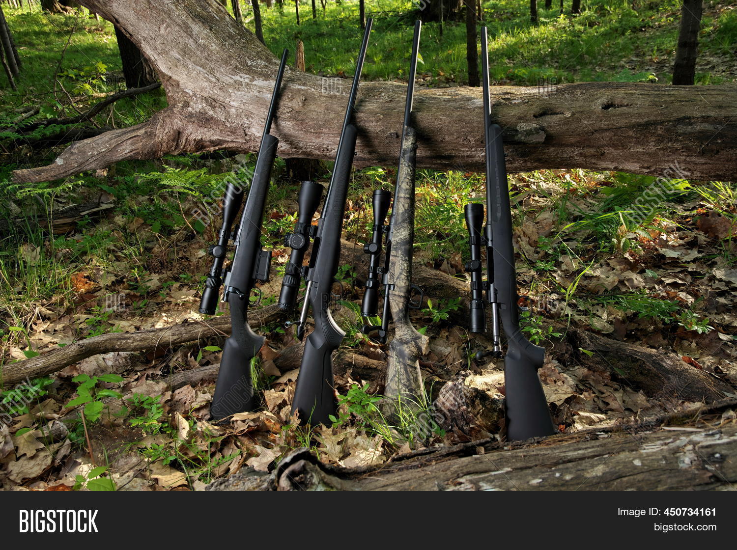 Four Hunting Rifles Image & Photo (Free Trial) | Bigstock