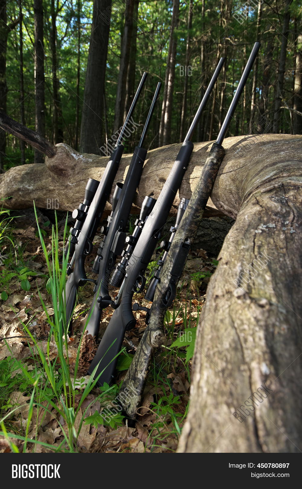 Four Hunting Rifles Image & Photo (Free Trial) | Bigstock