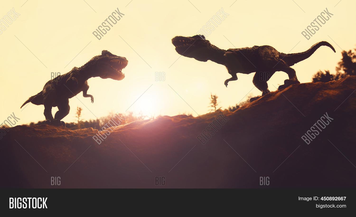 Two Tyrannosaurus Rex Image & Photo (Free Trial) | Bigstock