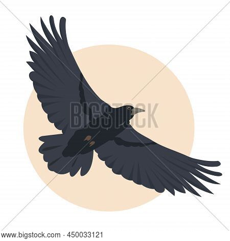 Raven Flying Images, Illustrations & Vectors (Free) - Bigstock