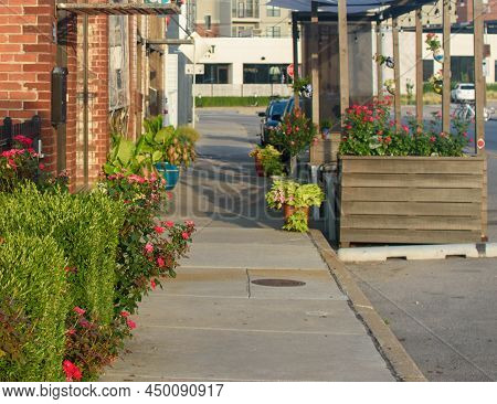 Quaint Street Lined Image & Photo (Free Trial) | Bigstock