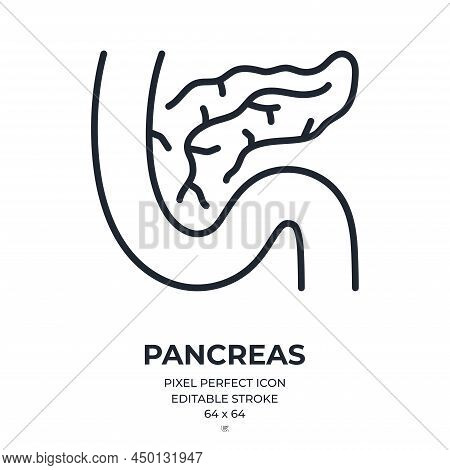 Pancreas Editable Vector & Photo (Free Trial) | Bigstock