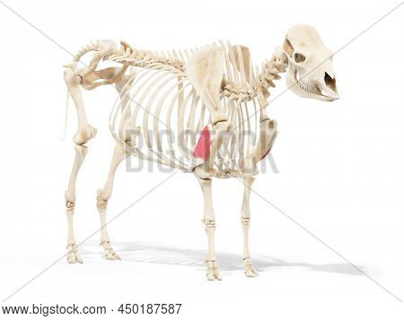 ภาพและภาพถ่าย (ทดลองใช้ฟรี) | Bigstock