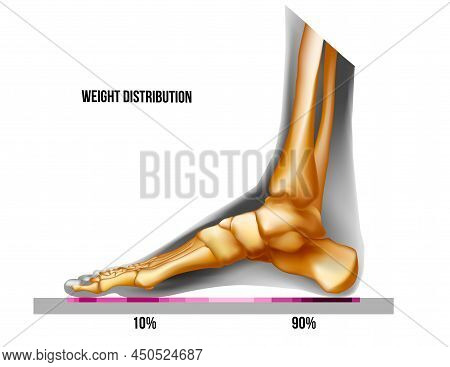 Foot Weight Vector & Photo (Free Trial) | Bigstock