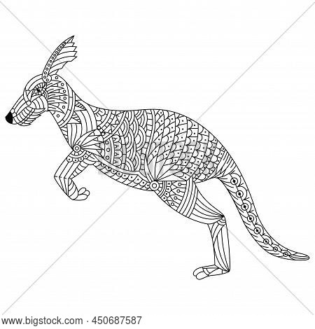 Hand Drawn Kangaroo Vector & Photo (Free Trial) | Bigstock