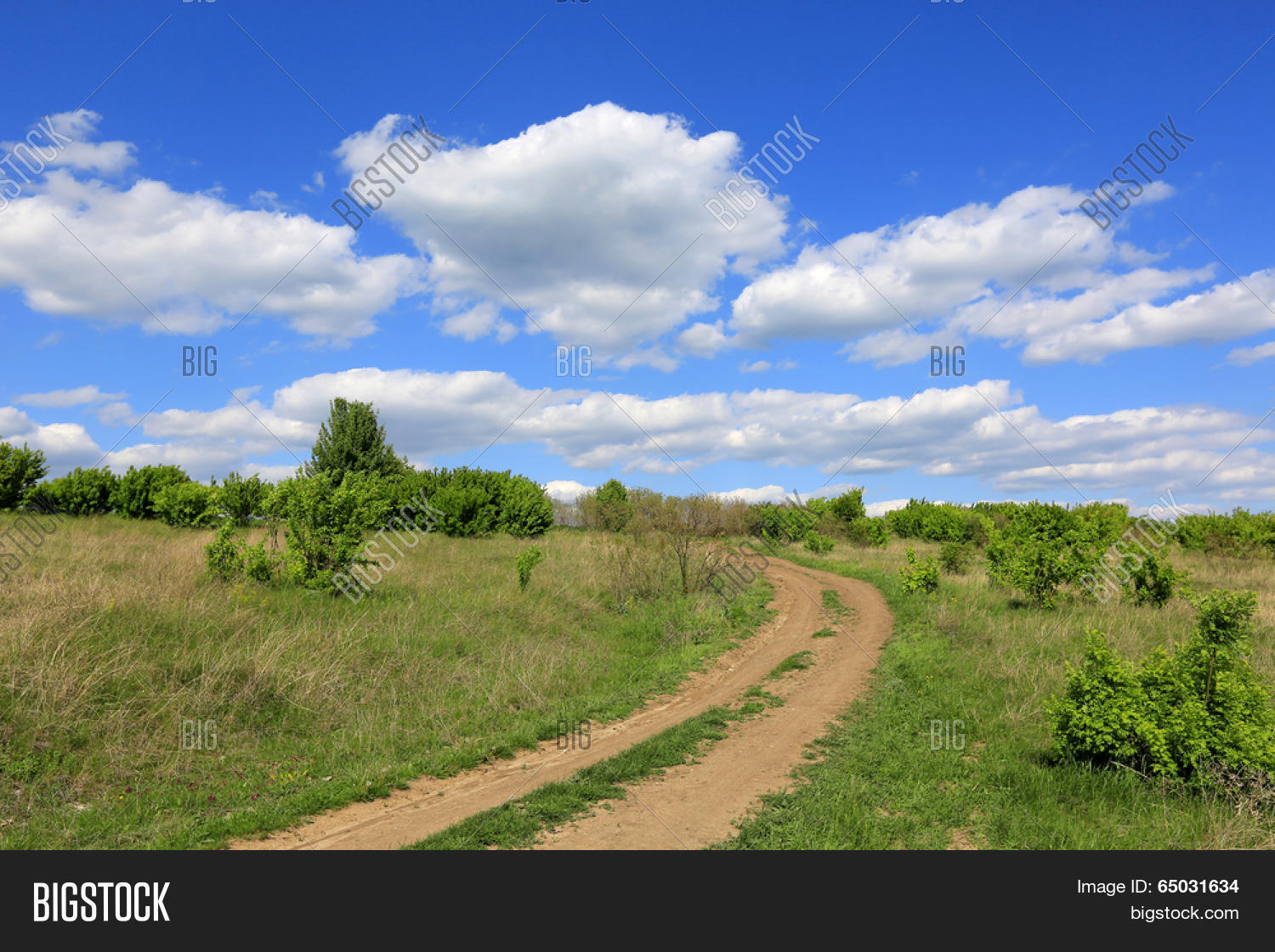 Rut Road Steppe Under Image & Photo (Free Trial) | Bigstock