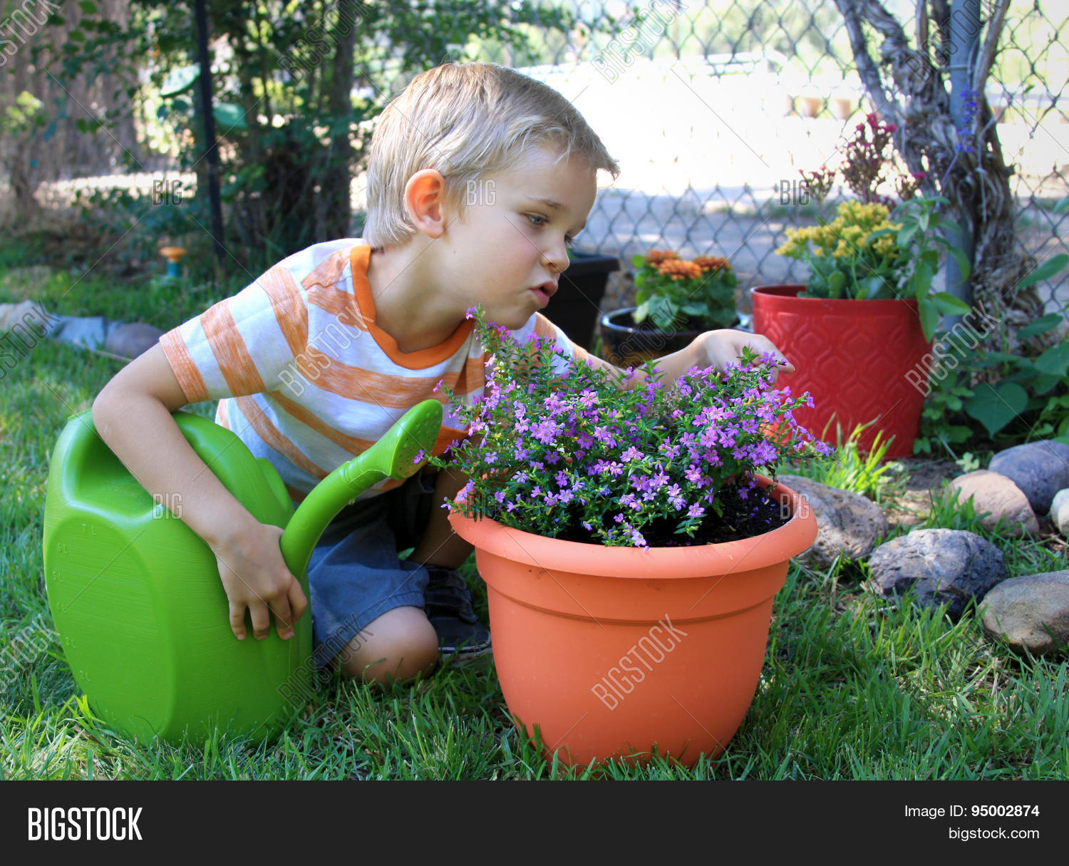 Looking Bugs Image & Photo (Free Trial) | Bigstock