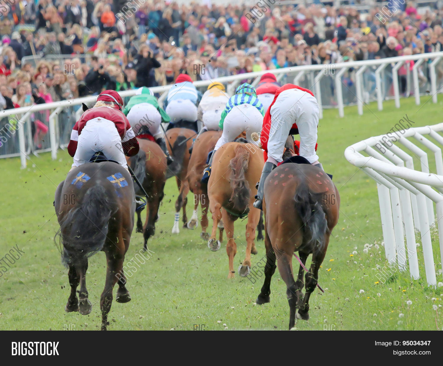 Rear View Ponny Race Image & Photo (Free Trial) | Bigstock