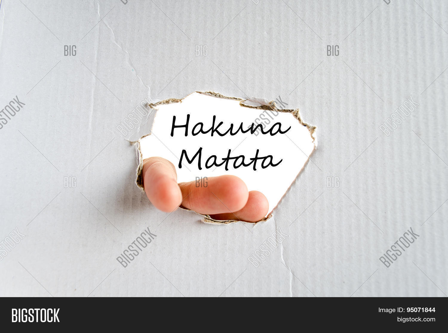 Hakuna Matata Text Image & Photo (Free Trial) | Bigstock