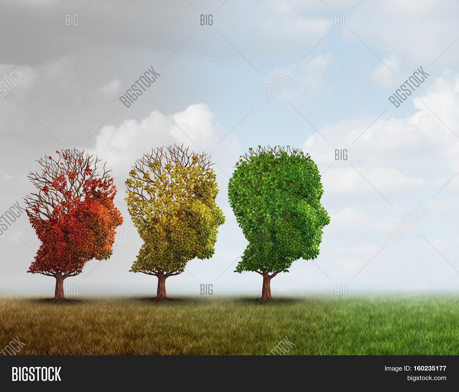 Dementia Treatment Image & Photo (Free Trial) | Bigstock