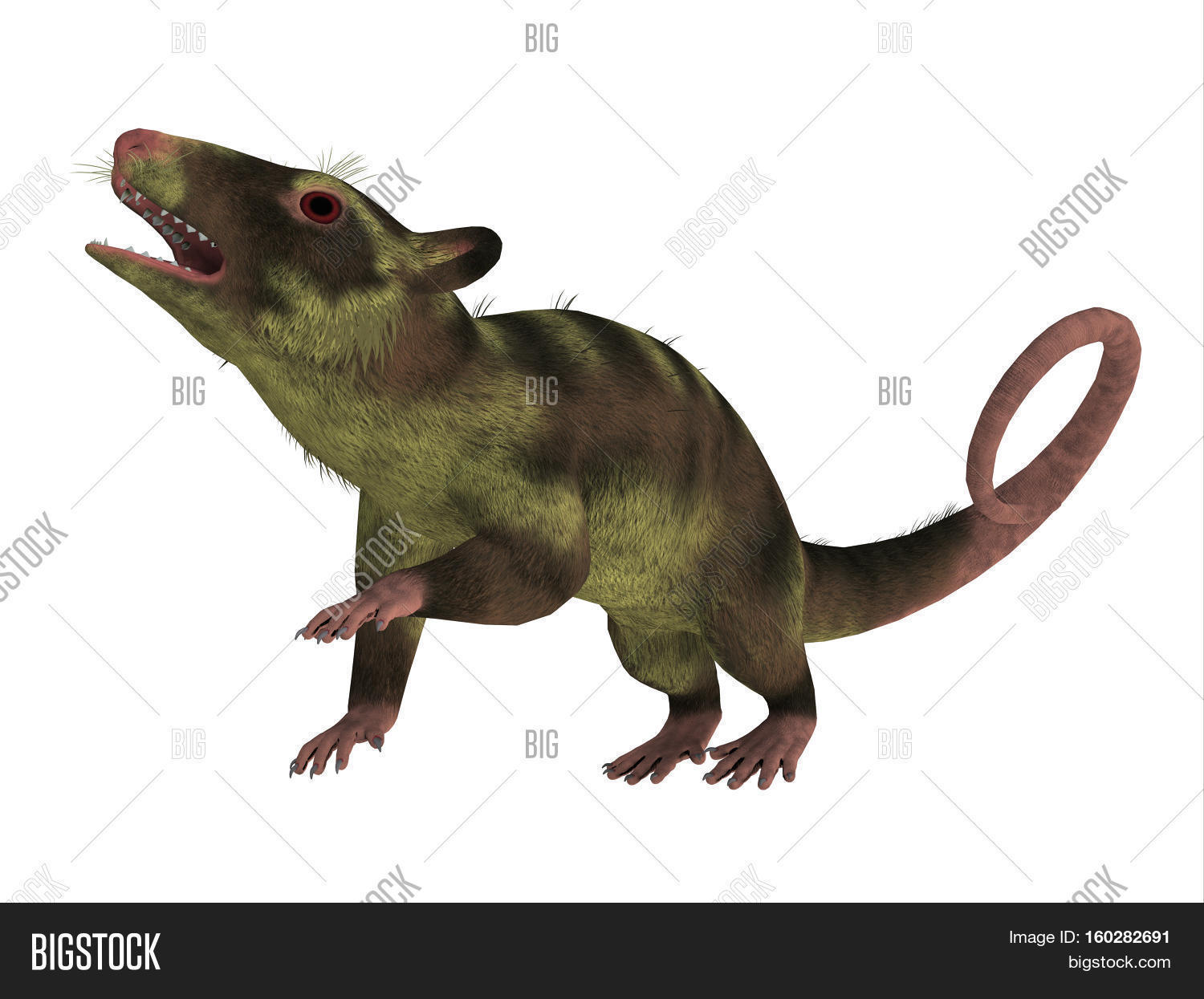 Purgatorius Primate On Image & Photo (Free Trial) | Bigstock