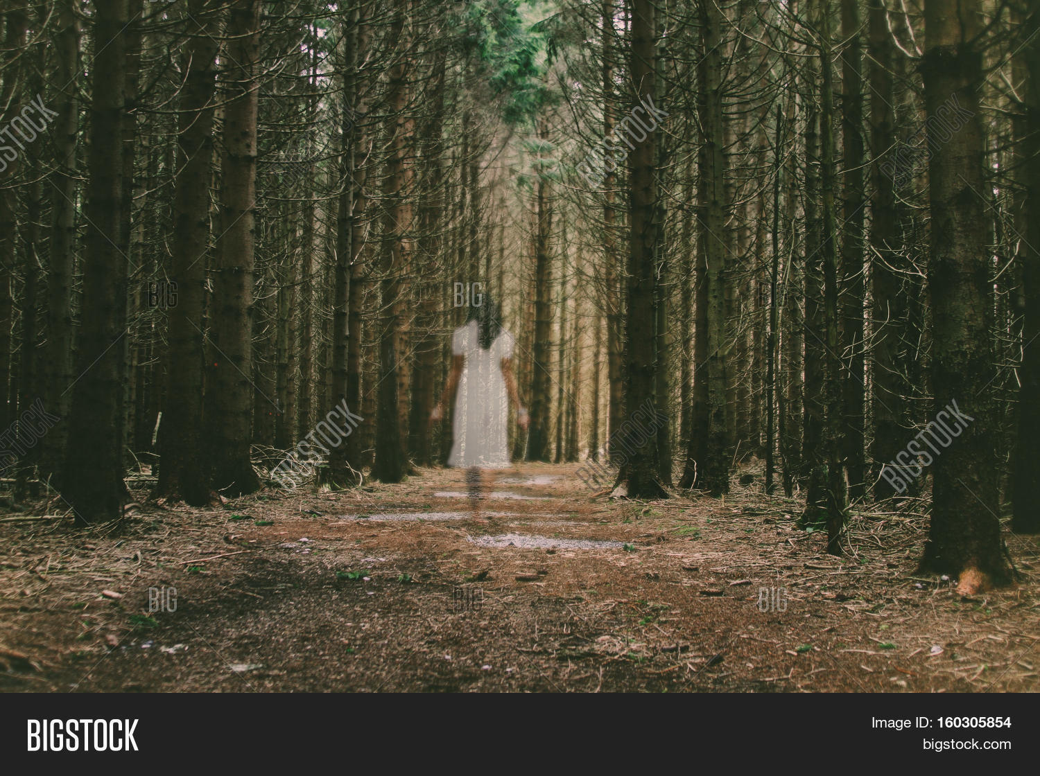 Female Ghost Walking Image & Photo (Free Trial) | Bigstock