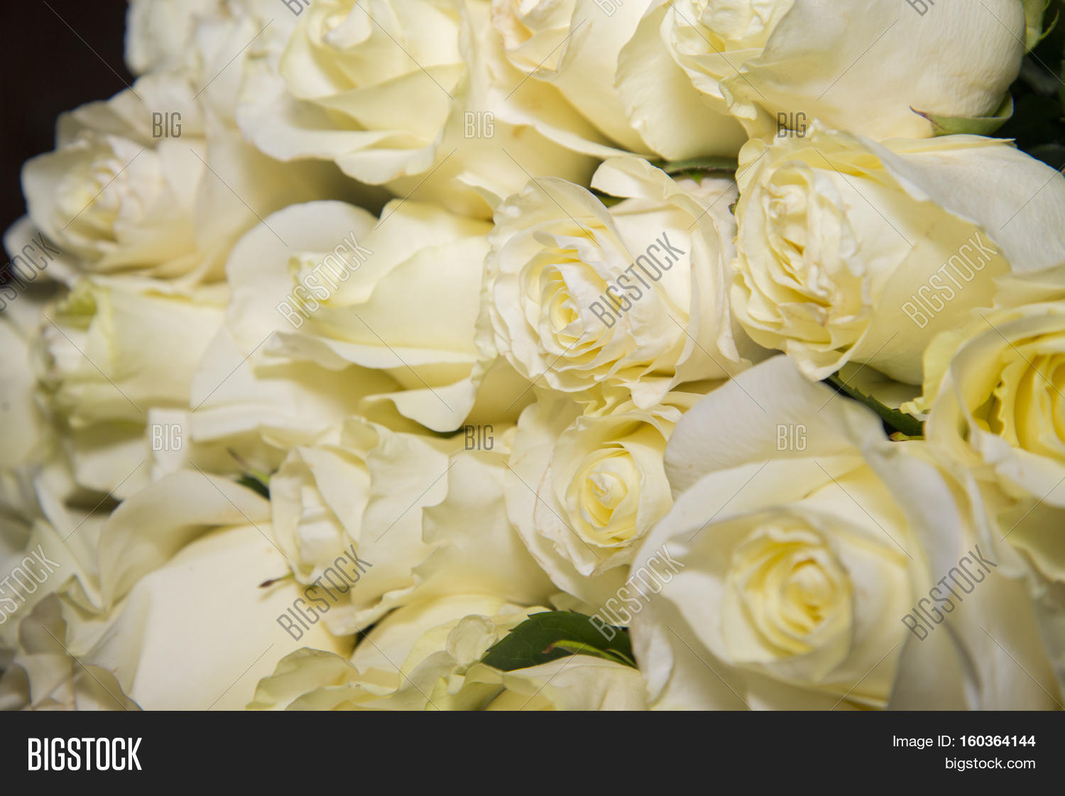 Beautiful Bouquet Gift Image & Photo (Free Trial) | Bigstock