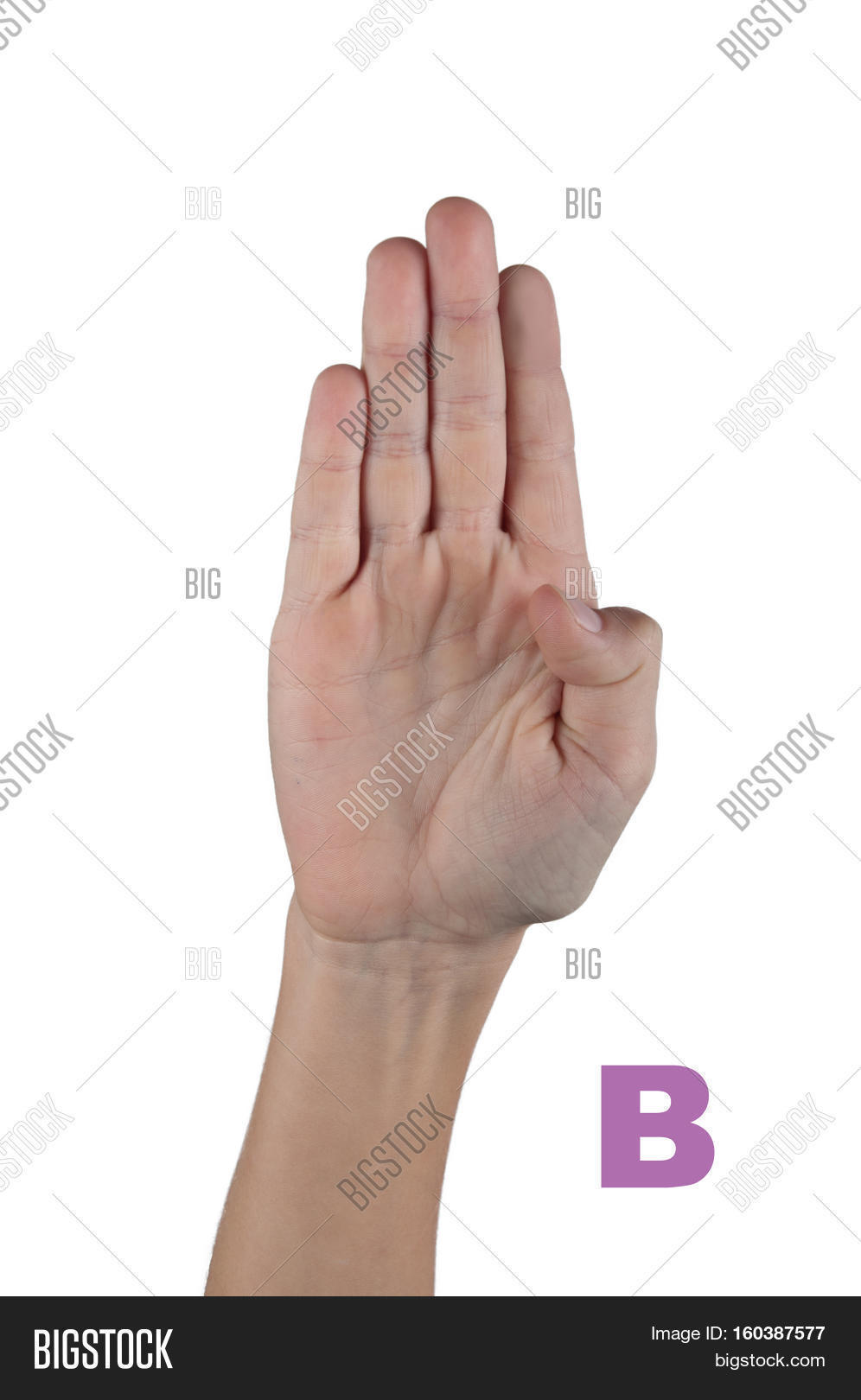 Sign Language Alphabet Letter B