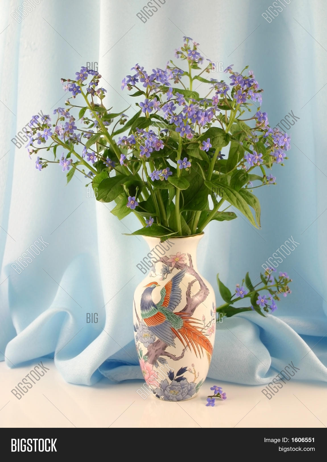 Forget-Me-Nots Vase Image & Photo (Free Trial) | Bigstock