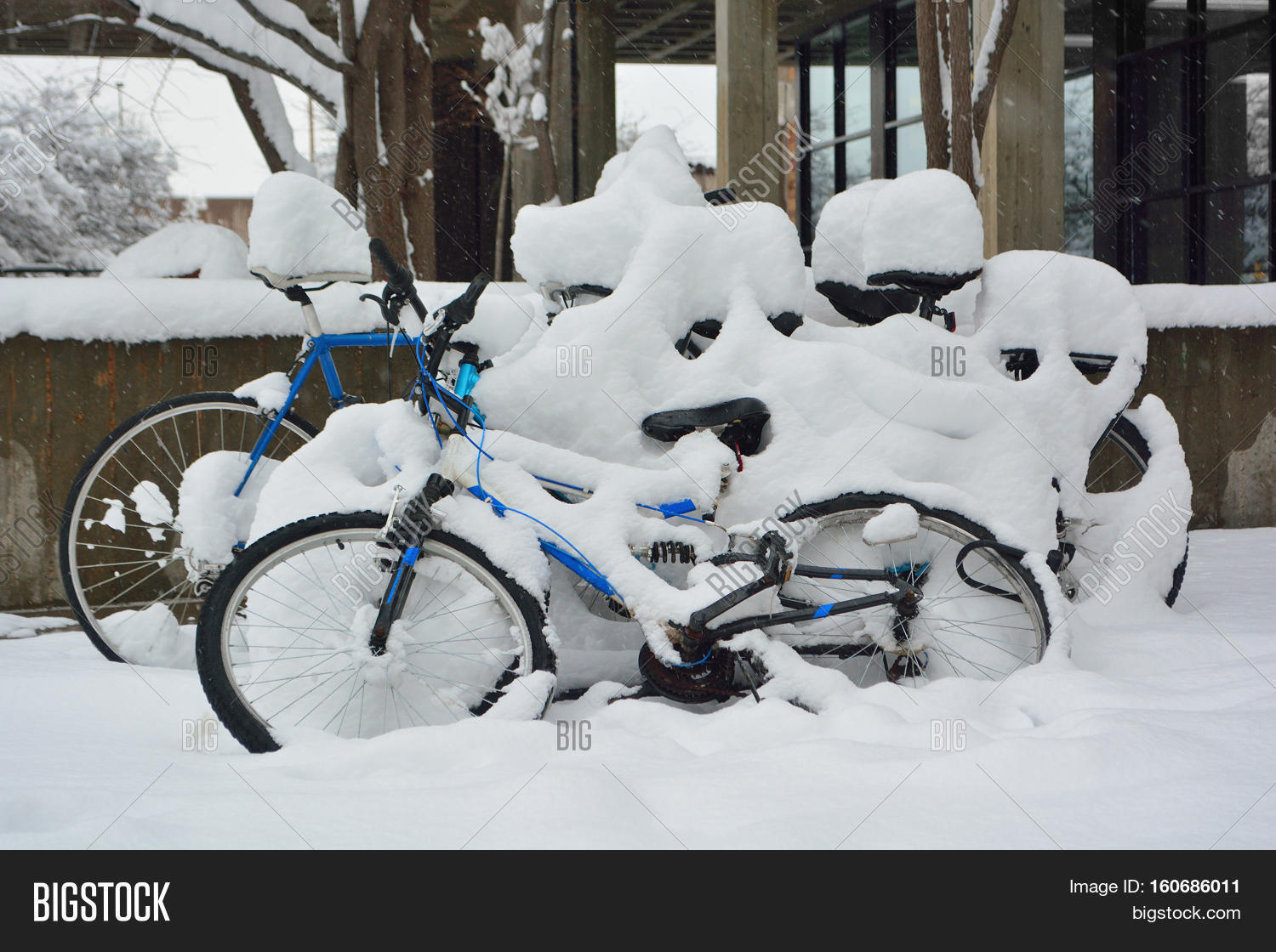 Snow Covered Bicycles Image & Photo (Free Trial) | Bigstock