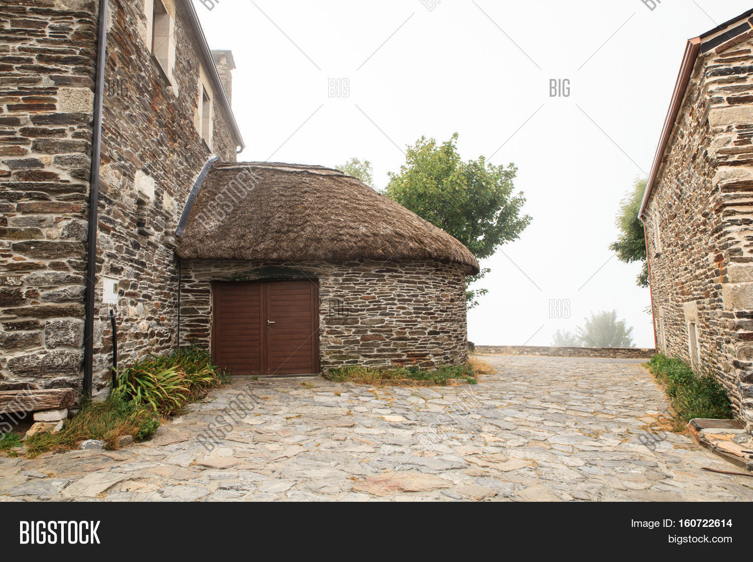 Palloza Known Pallouza Image & Photo (Free Trial) | Bigstock