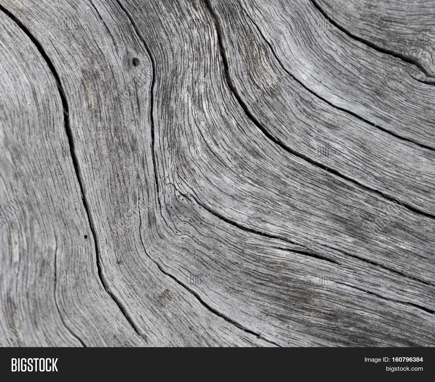 Silver Timber Texture Image & Photo (Free Trial) | Bigstock