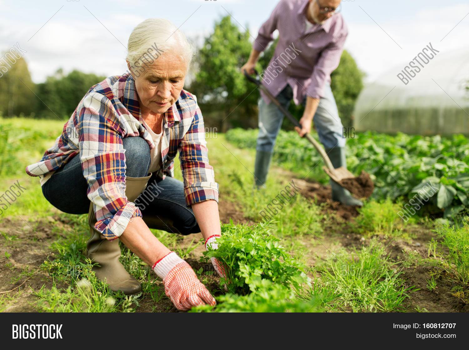 Farming, Gardening, Image & Photo (Free Trial) | Bigstock