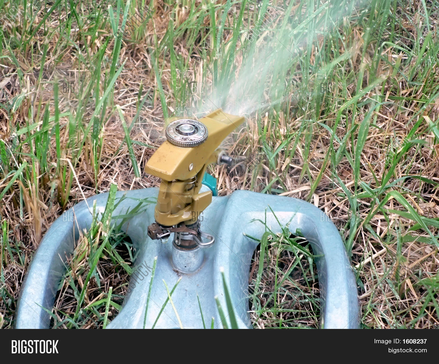 Water Sprinkle Image & Photo (Free Trial) | Bigstock