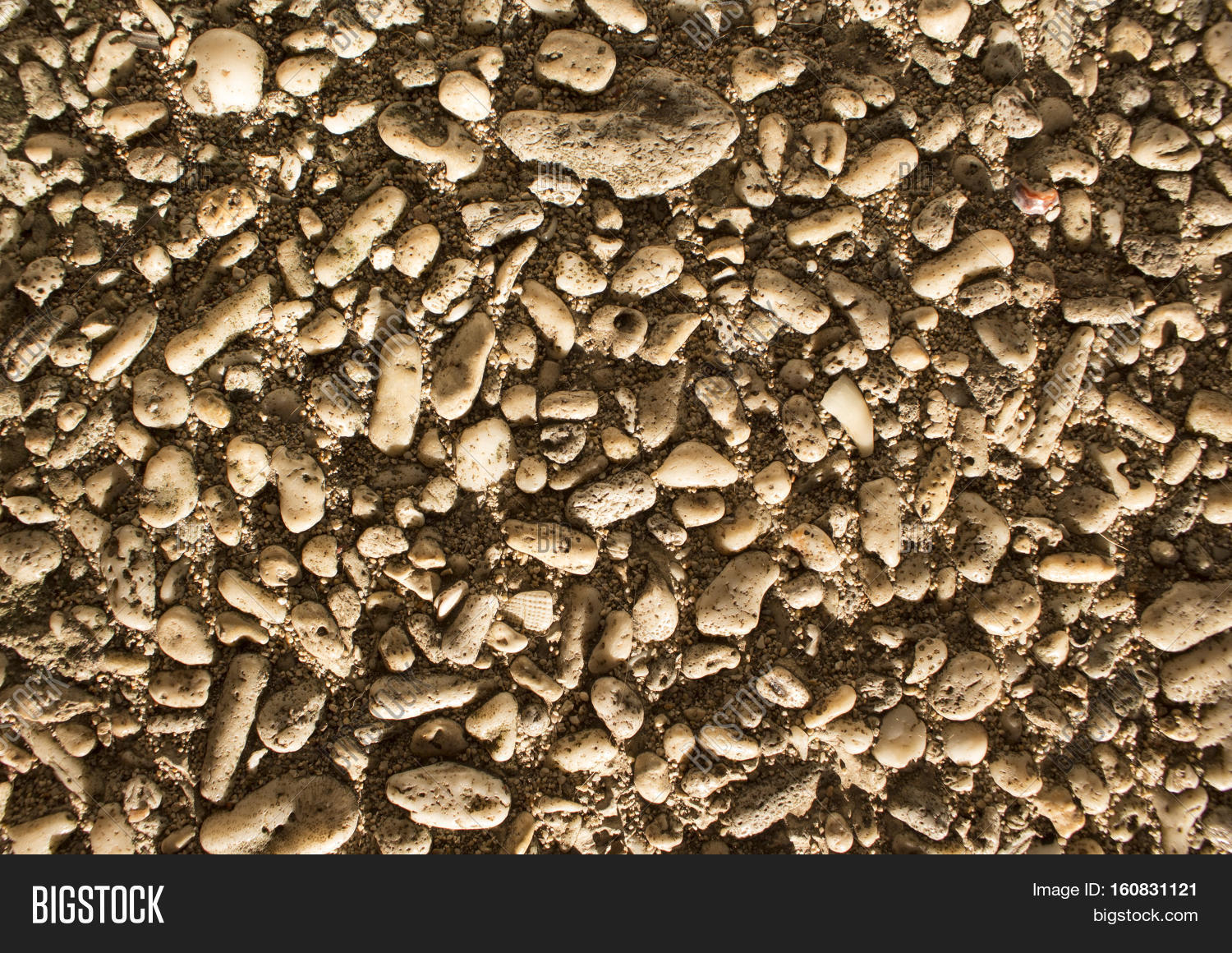 Pebble Stone Dead Image & Photo (Free Trial) | Bigstock