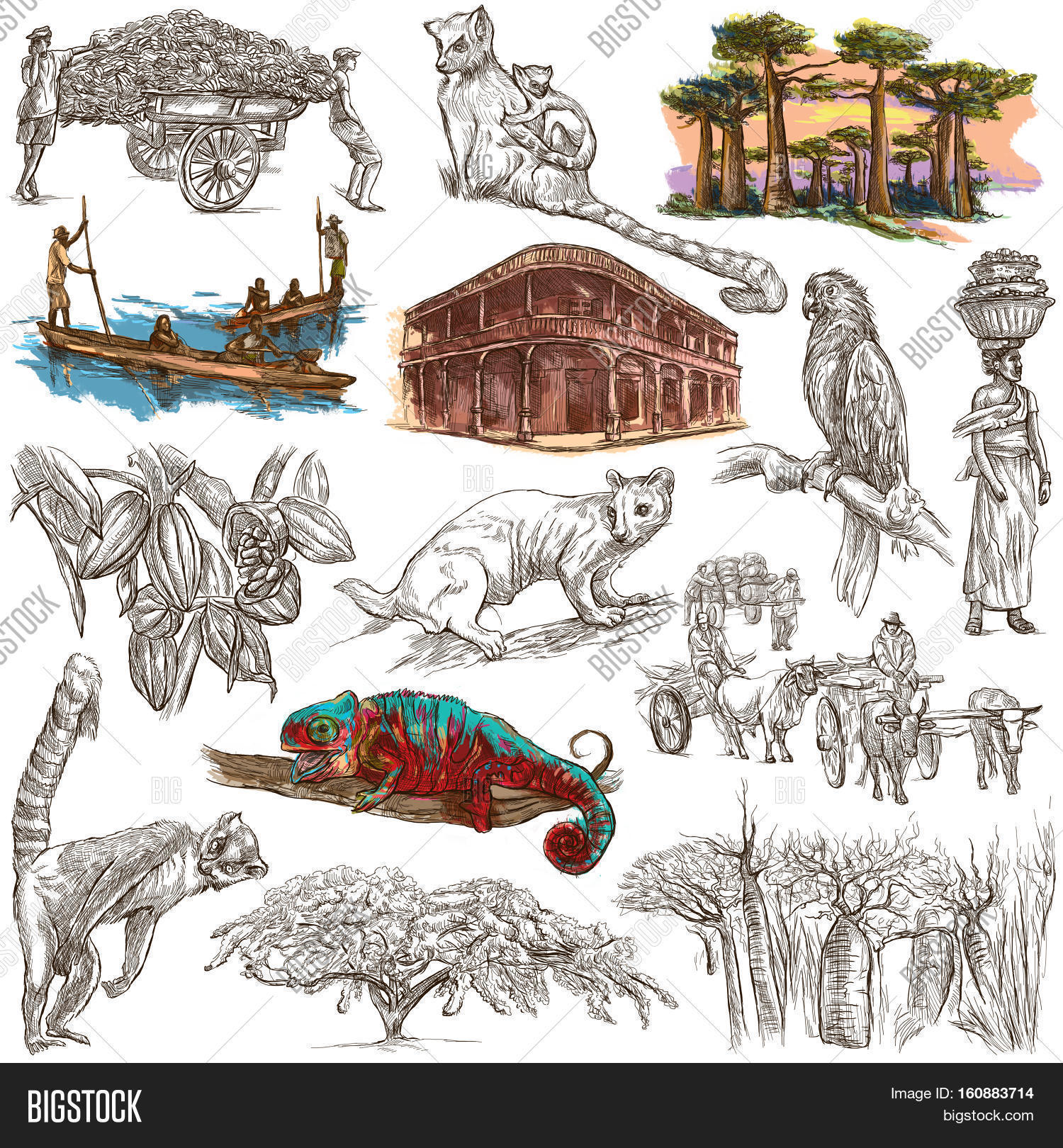 Travel MADAGASCAR. Image & Photo (Free Trial) | Bigstock