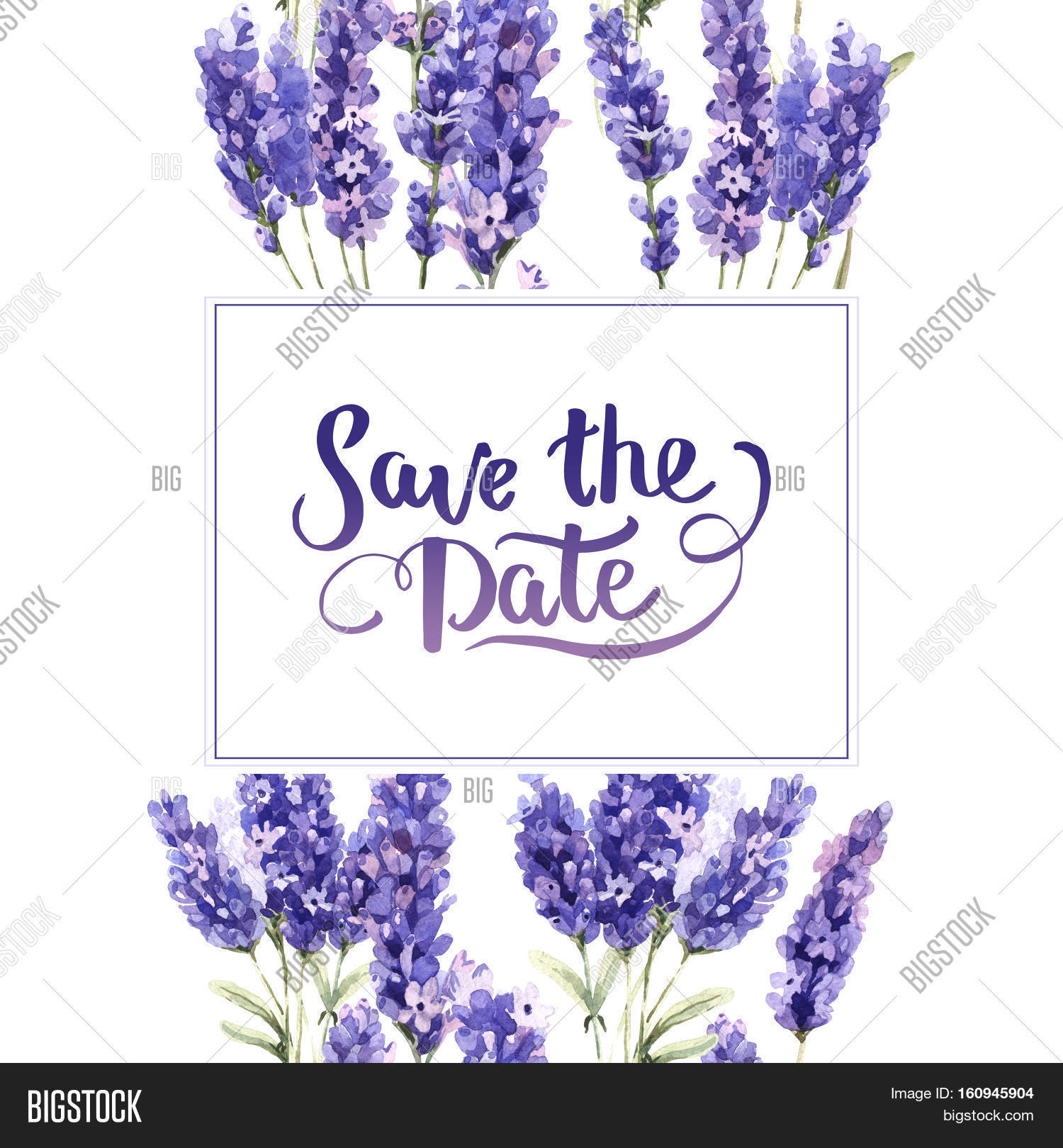 Wildflower Lavender Image & Photo (Free Trial) | Bigstock