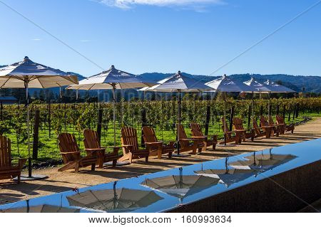 Relaxing Vineyard Image & Photo (Free Trial) | Bigstock