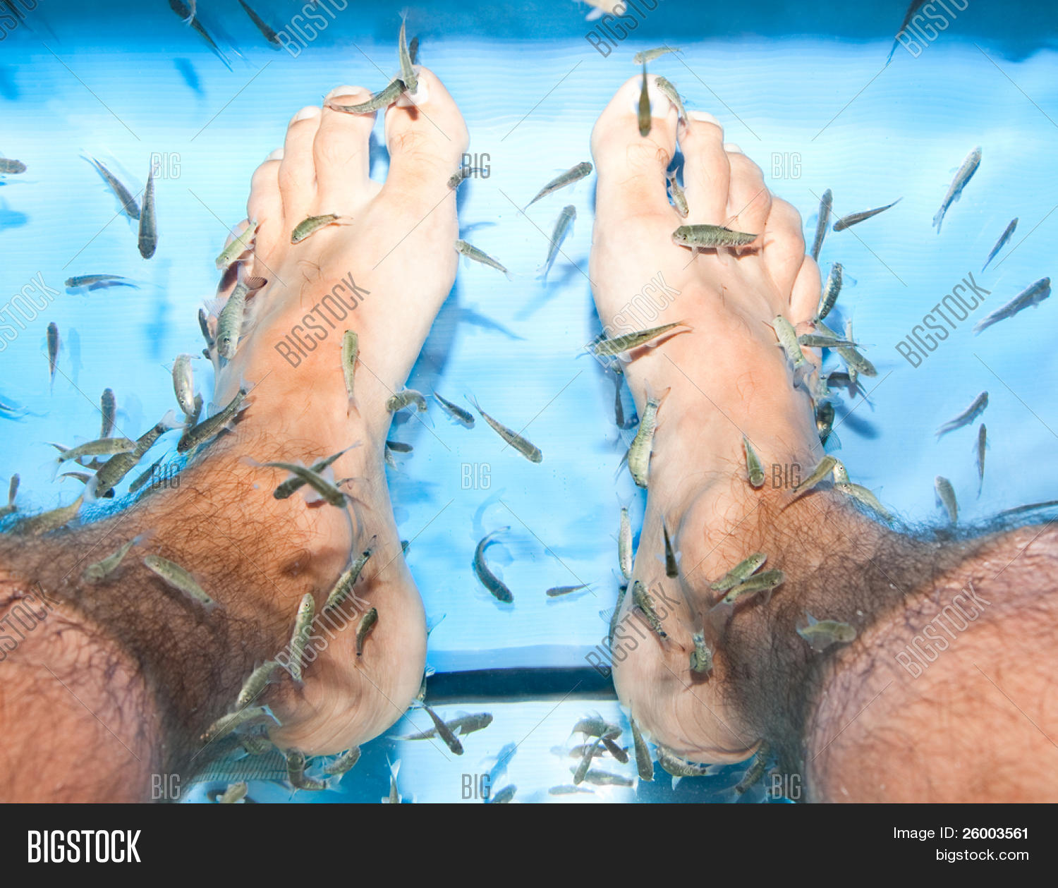 Fish Spa Feet Pedicure Image & Photo (Free Trial) | Bigstock