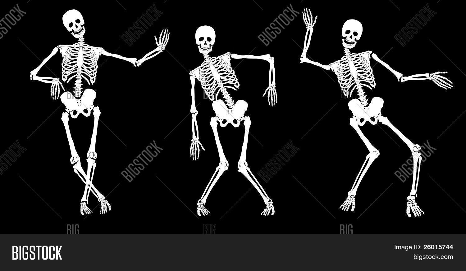 Funny Skeletons Vector & Photo (Free Trial) | Bigstock