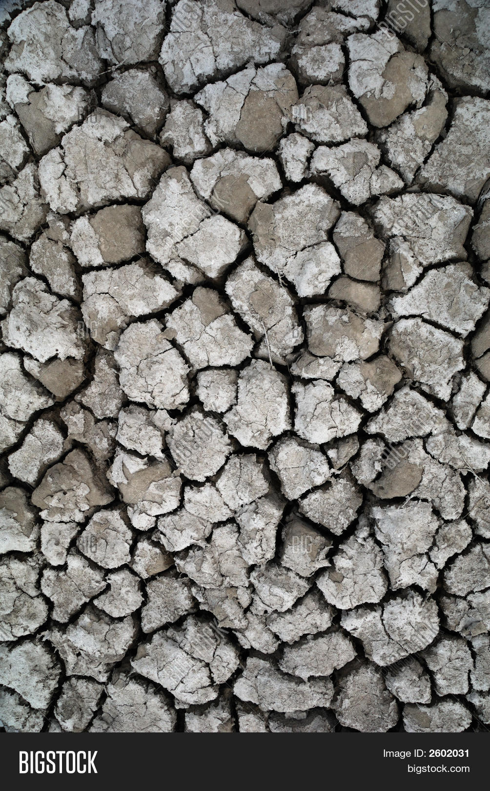 Cracked Ground Image & Photo (Free Trial) | Bigstock