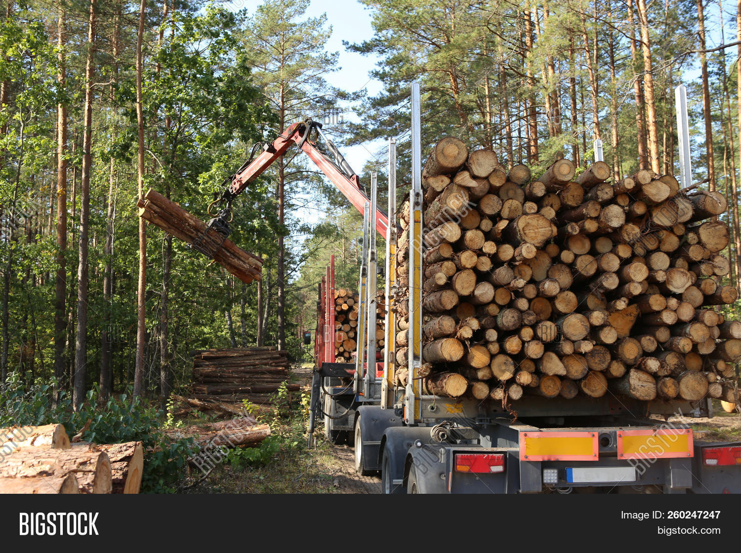 Timber Harvesting Image & Photo (Free Trial) | Bigstock