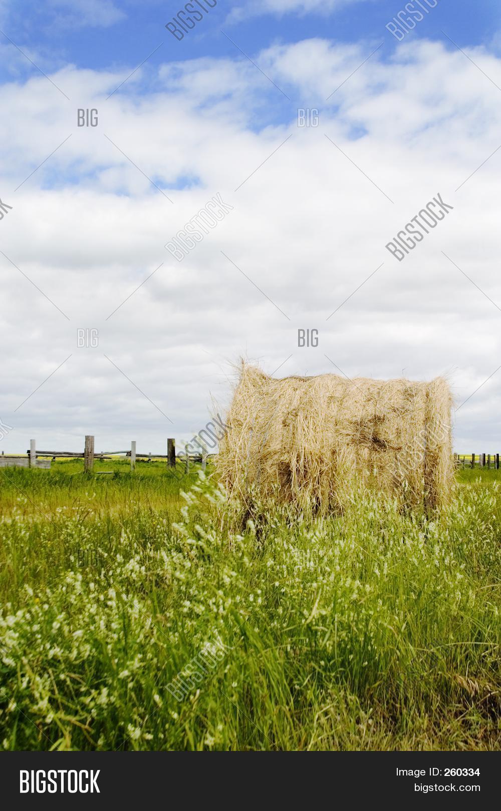 Hay Bail Image & Photo (Free Trial) | Bigstock