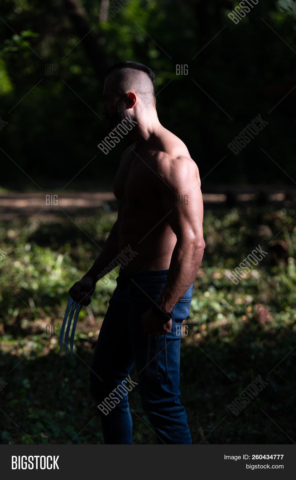 Superhero Claws Image & Photo (Free Trial) | Bigstock