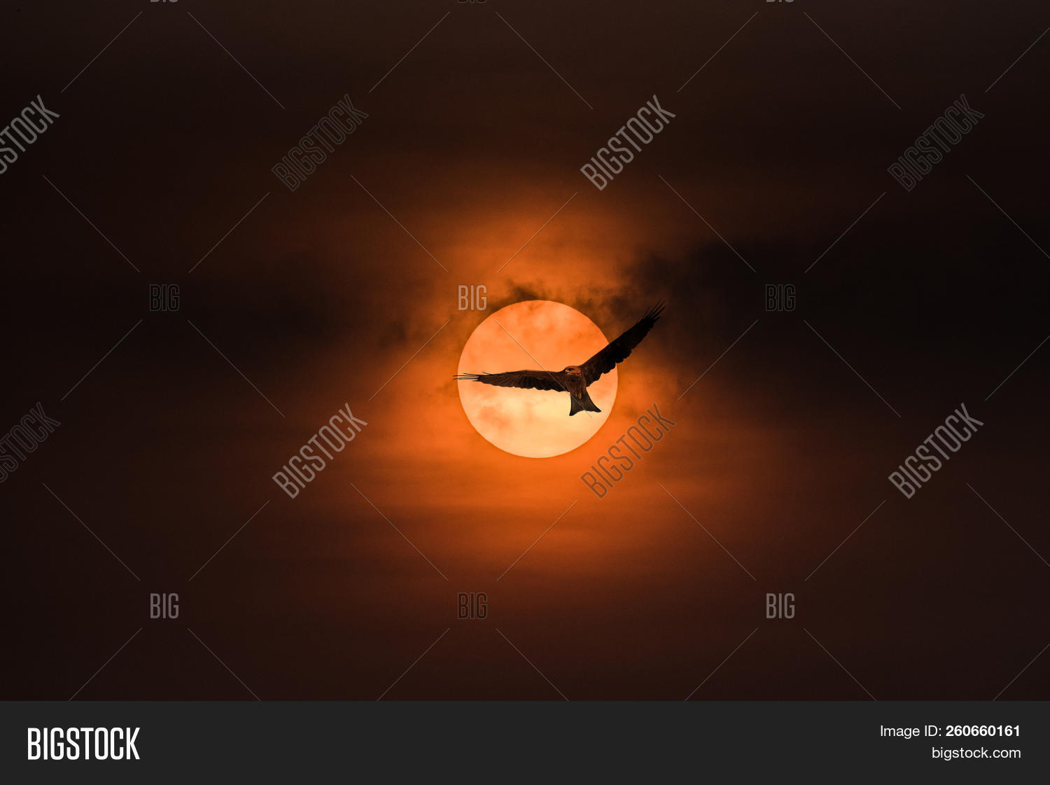 Rising Sun Moring Mist Image & Photo (Free Trial) | Bigstock