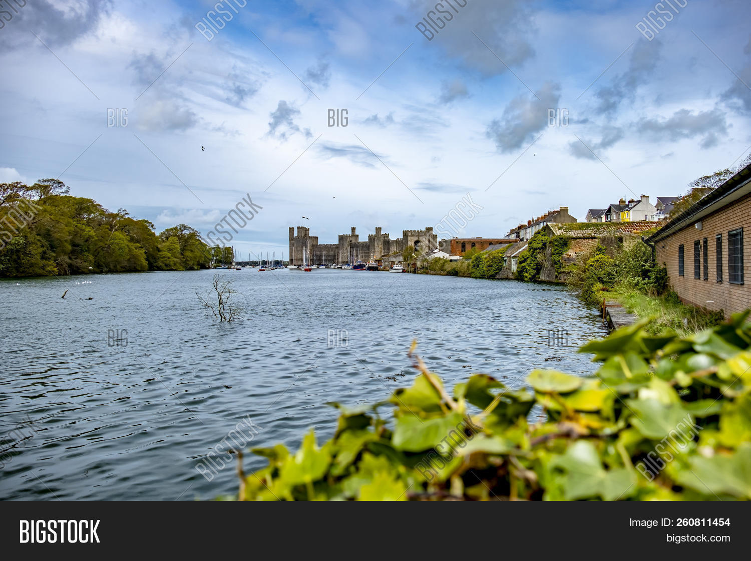 Castle Marina Image & Photo (Free Trial) | Bigstock