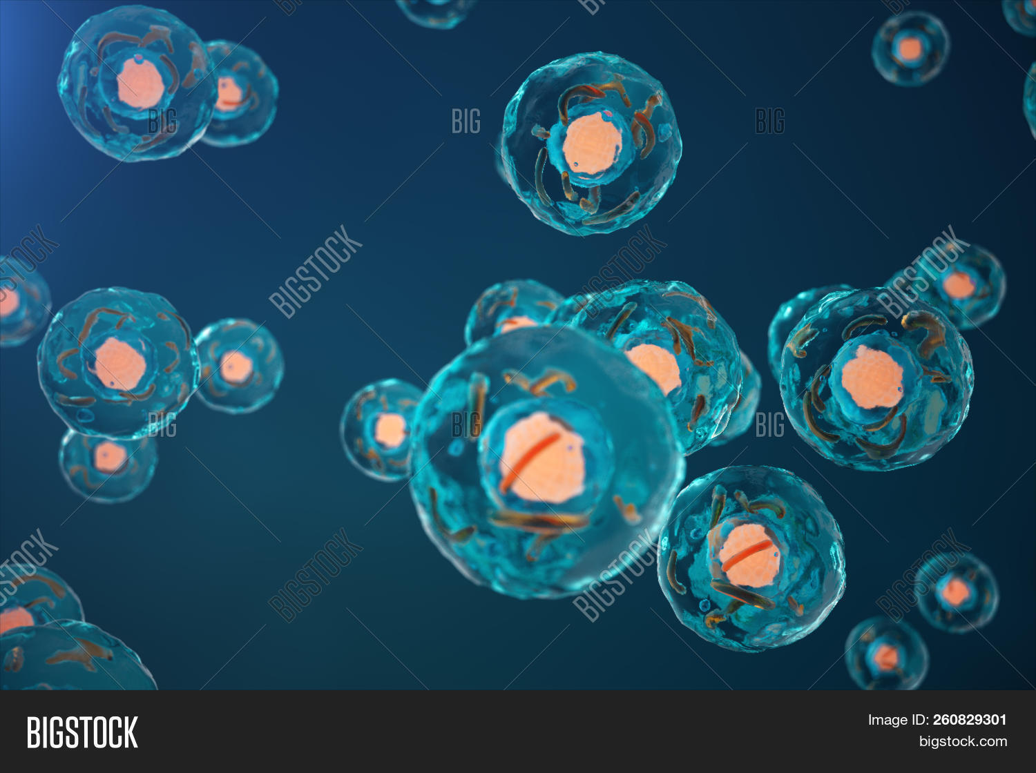 3d Illustration Cell Image & Photo (Free Trial) | Bigstock