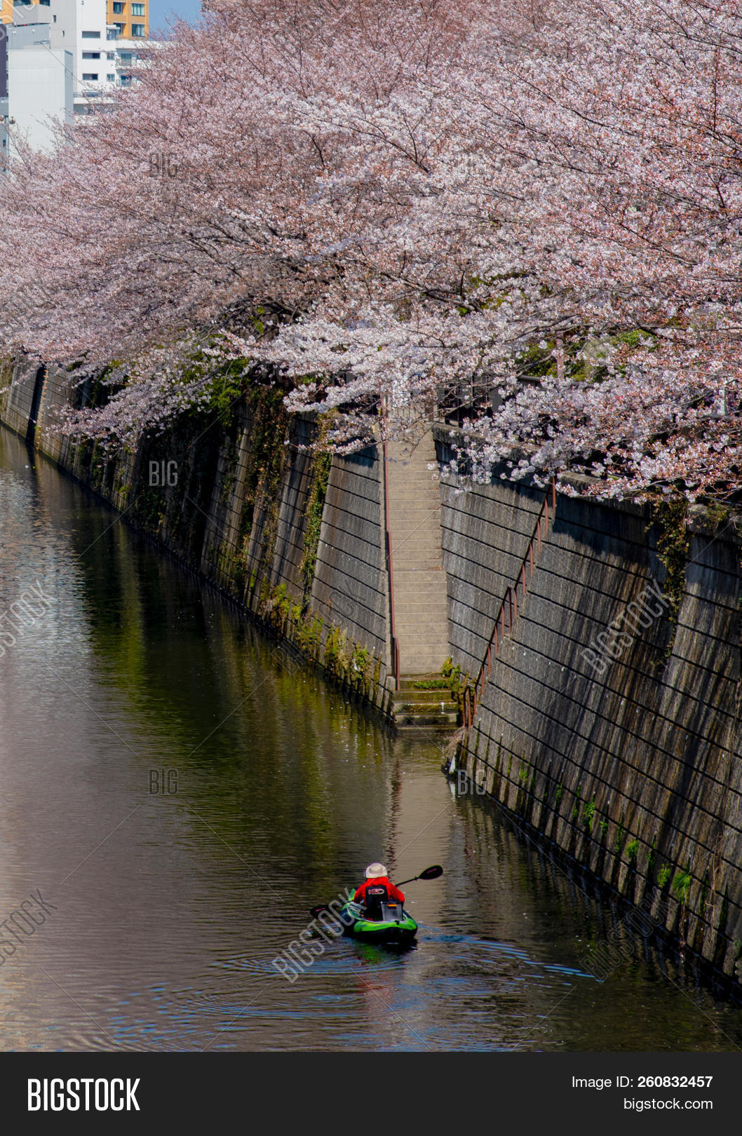 Meguro, Tokyo, Japan Image & Photo (Free Trial) | Bigstock