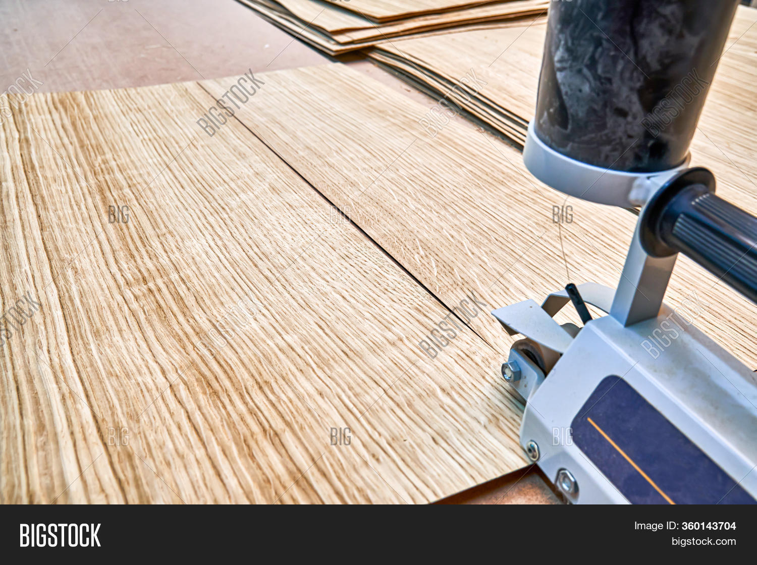 Oak Veneer. Oak Image & Photo (Free Trial) | Bigstock