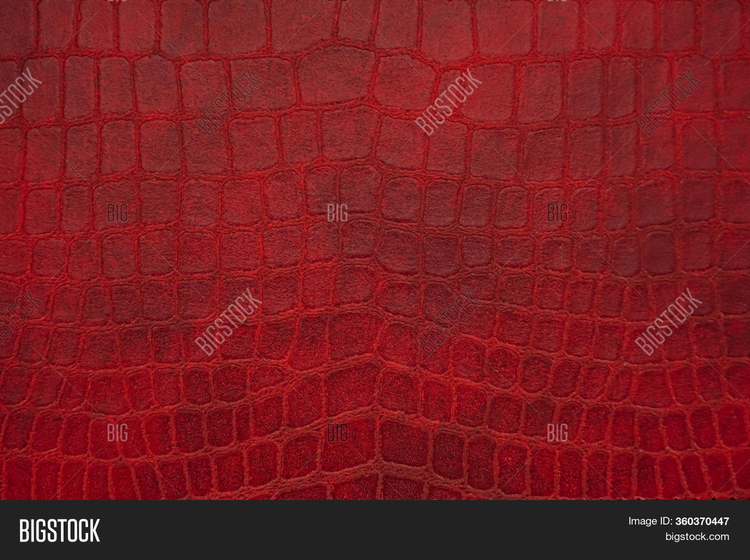 Vintage Red Leather Image & Photo (Free Trial) | Bigstock
