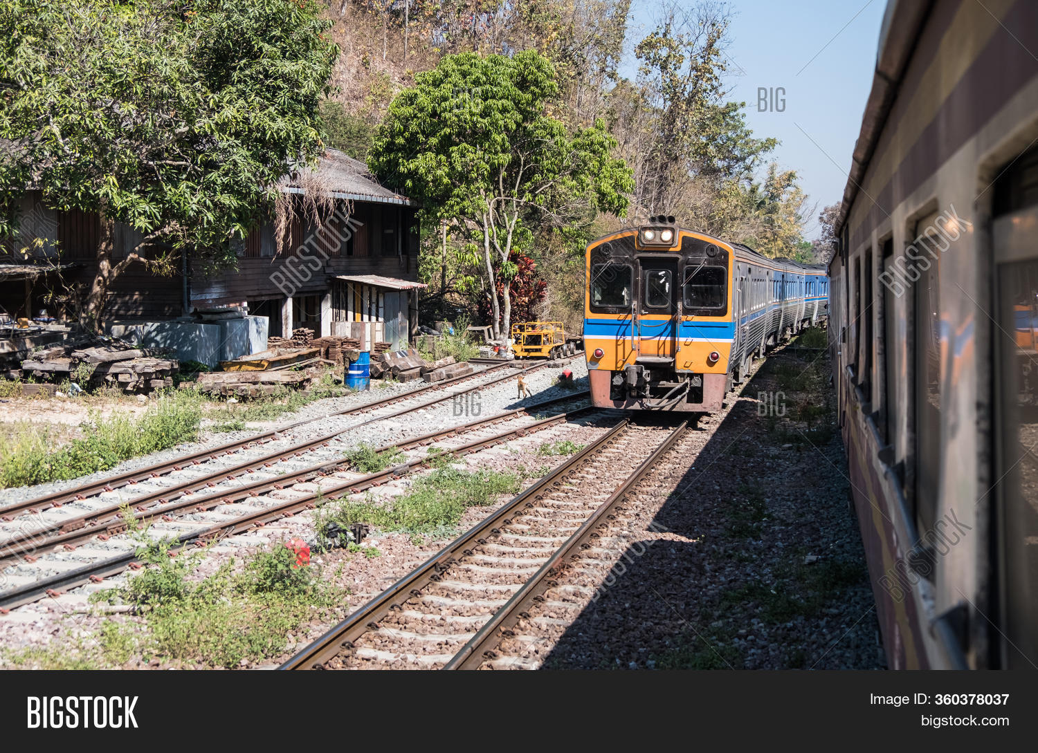 Diesel Multiple Unit Image & Photo (Free Trial) | Bigstock