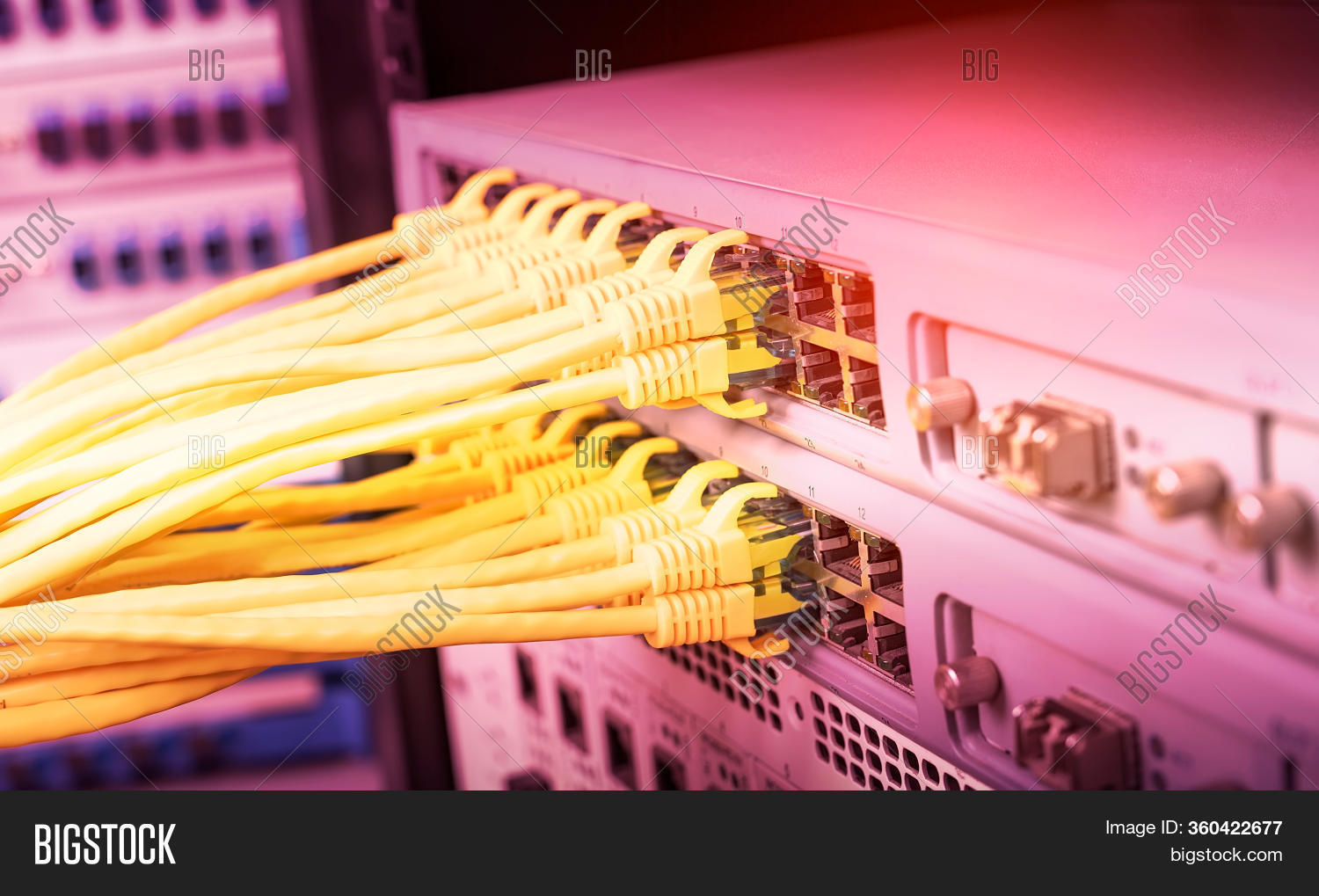 Yellow Network Cable Image & Photo (Free Trial) | Bigstock