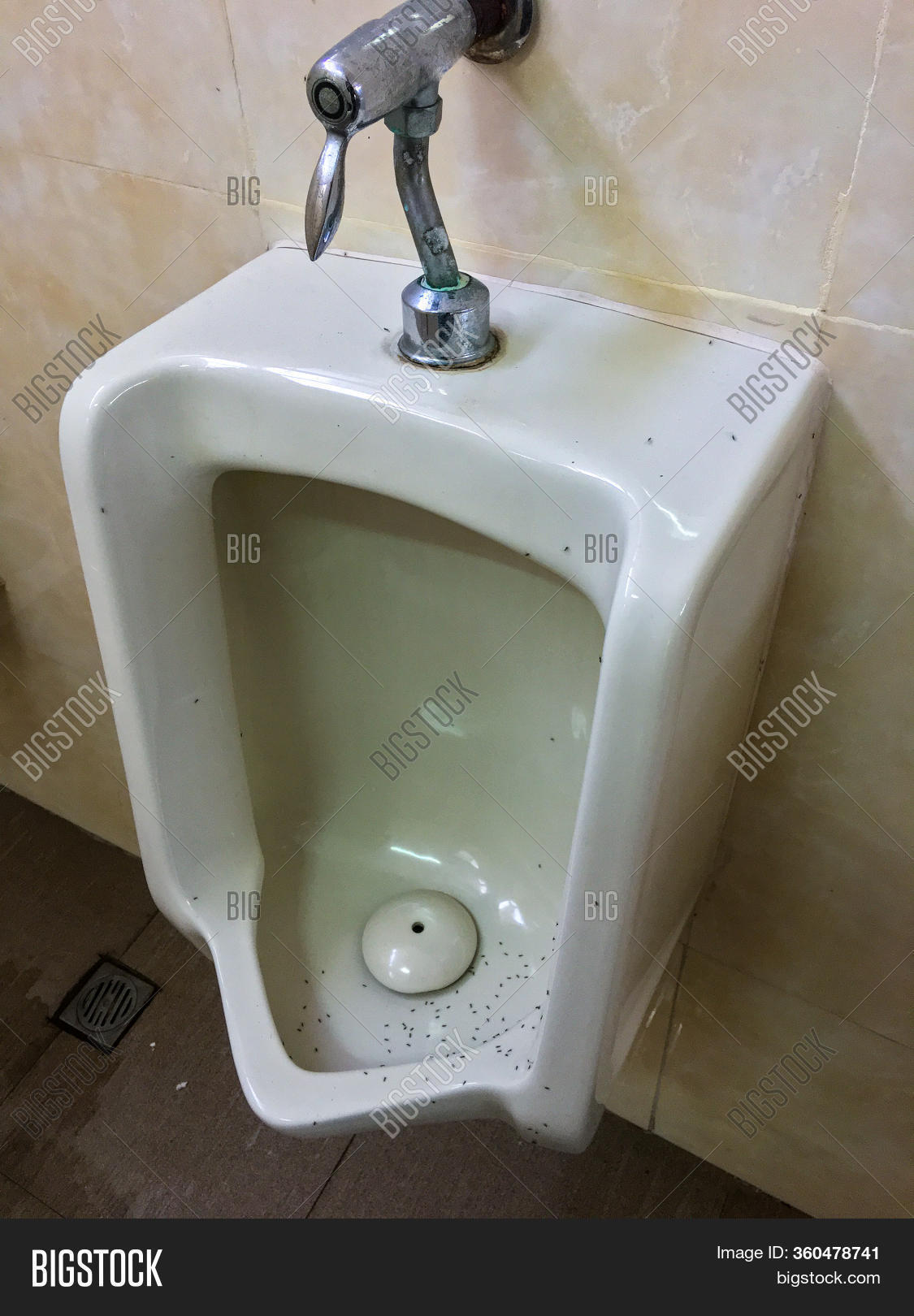 Urinal Installed Men's Image & Photo (Free Trial) | Bigstock
