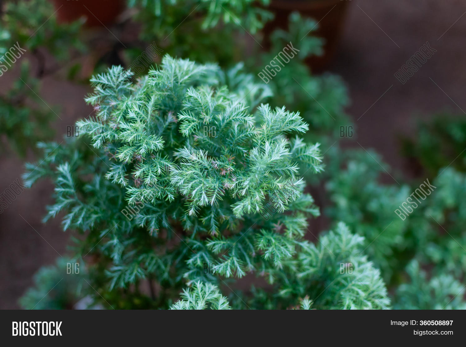 Original Calm Texture Image & Photo (Free Trial) | Bigstock