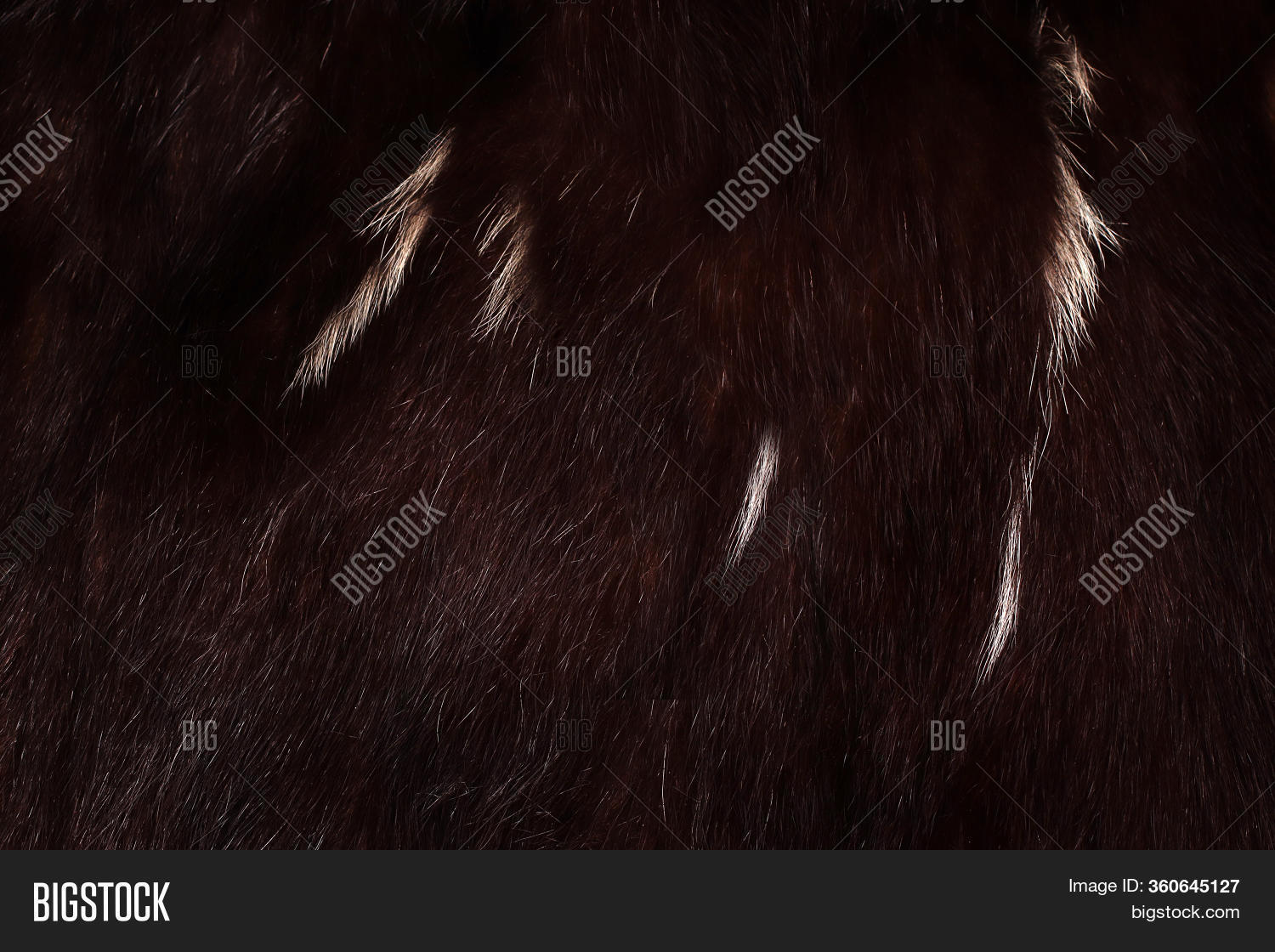 Natural Fur Texture Image & Photo (Free Trial) | Bigstock