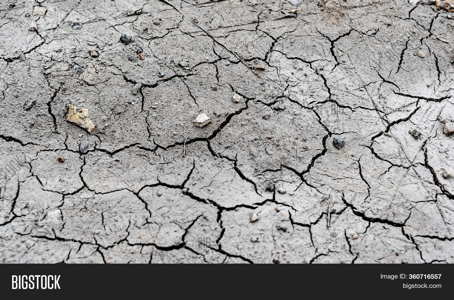 Texture Land Cracking Image & Photo (Free Trial) | Bigstock