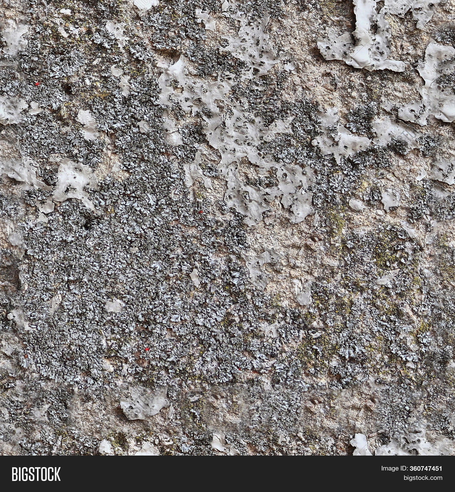 Realistic Seamless Image & Photo (Free Trial) | Bigstock