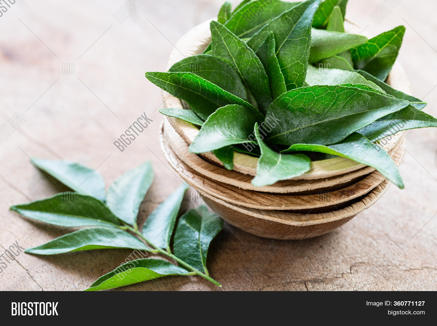 Fresh Curry Leaves Image & Photo (Free Trial) | Bigstock